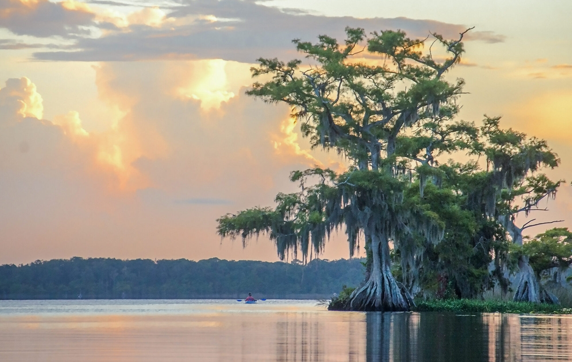 Lake Disston - FlaglerFL.com